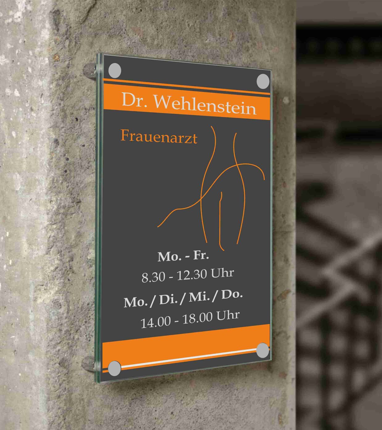 Praxisschild / Büroschild / Firmenschild aus Acrylglas inkl. Abstandshalter und Beschriftung ...